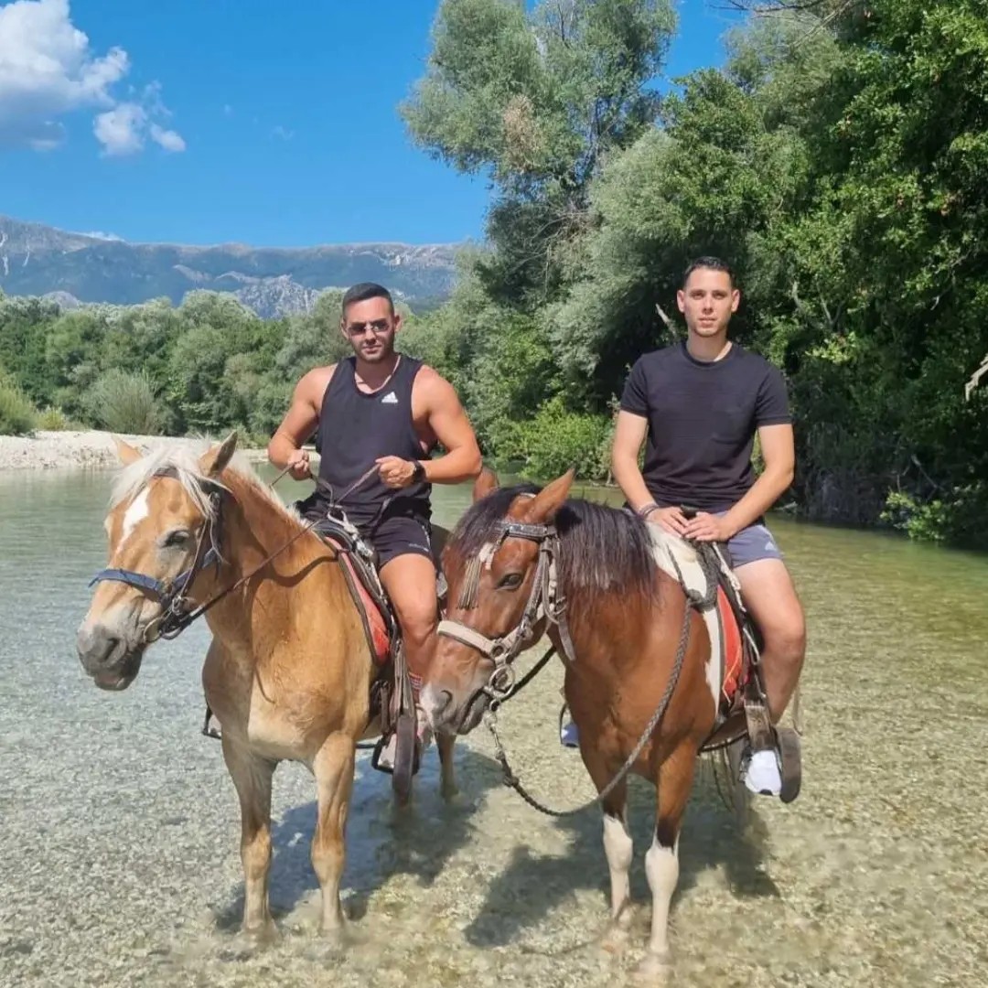 ΚΑΜΑΡΩΝΟΥΝ ΠΑΝΩ ΣΤΑ ΑΛΟΓΑ ΟΙ ΑΘΗΝΑΙΟΙ ΡΕΦΕΡΥ ΓΙΩΡΓΟΣ ΠΑΝΑΓΙΩΤΑΡΑΣ ΚΑΙ ...